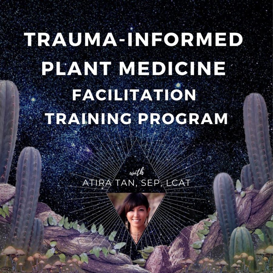 Atira Tan – Learn With Me