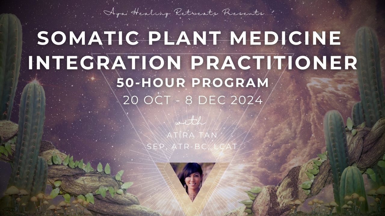 Trauma Informed Yoga Online Training – Atira Tan